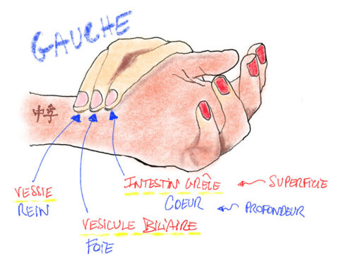 Méthode Zhong Fu - Le pouls chinois GPS diagnostic